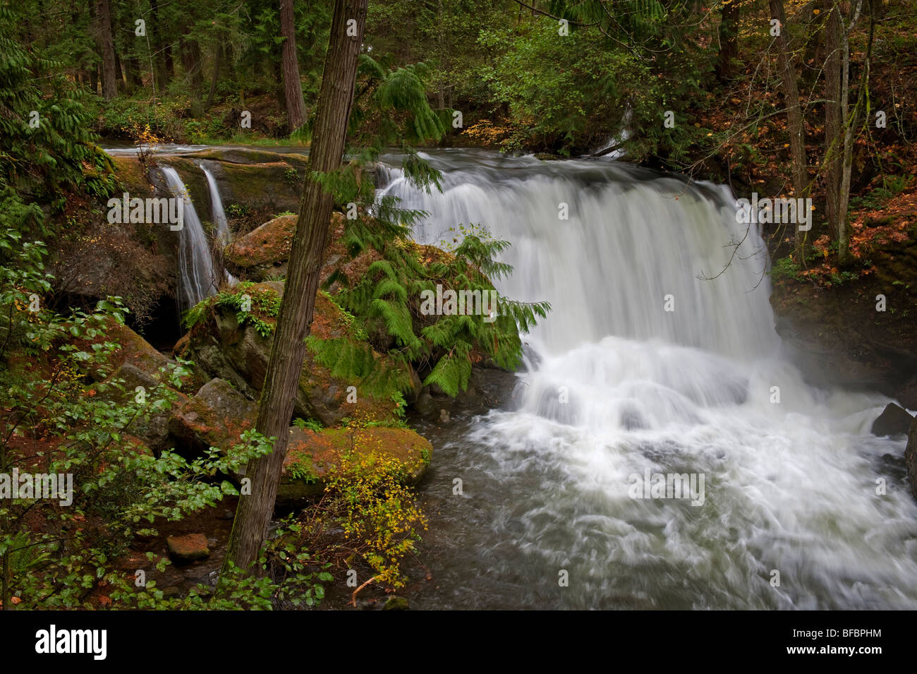 Whatcom Falls Park, Bellingham, Washington USA. Beautiful waterfalls ...