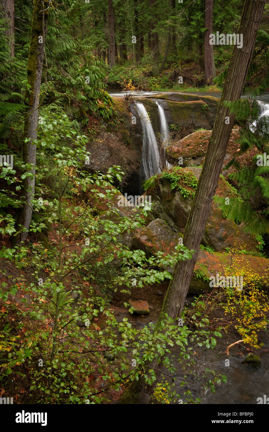Whatcom Falls Park, Bellingham, Washington USA. Beautiful waterfalls ...