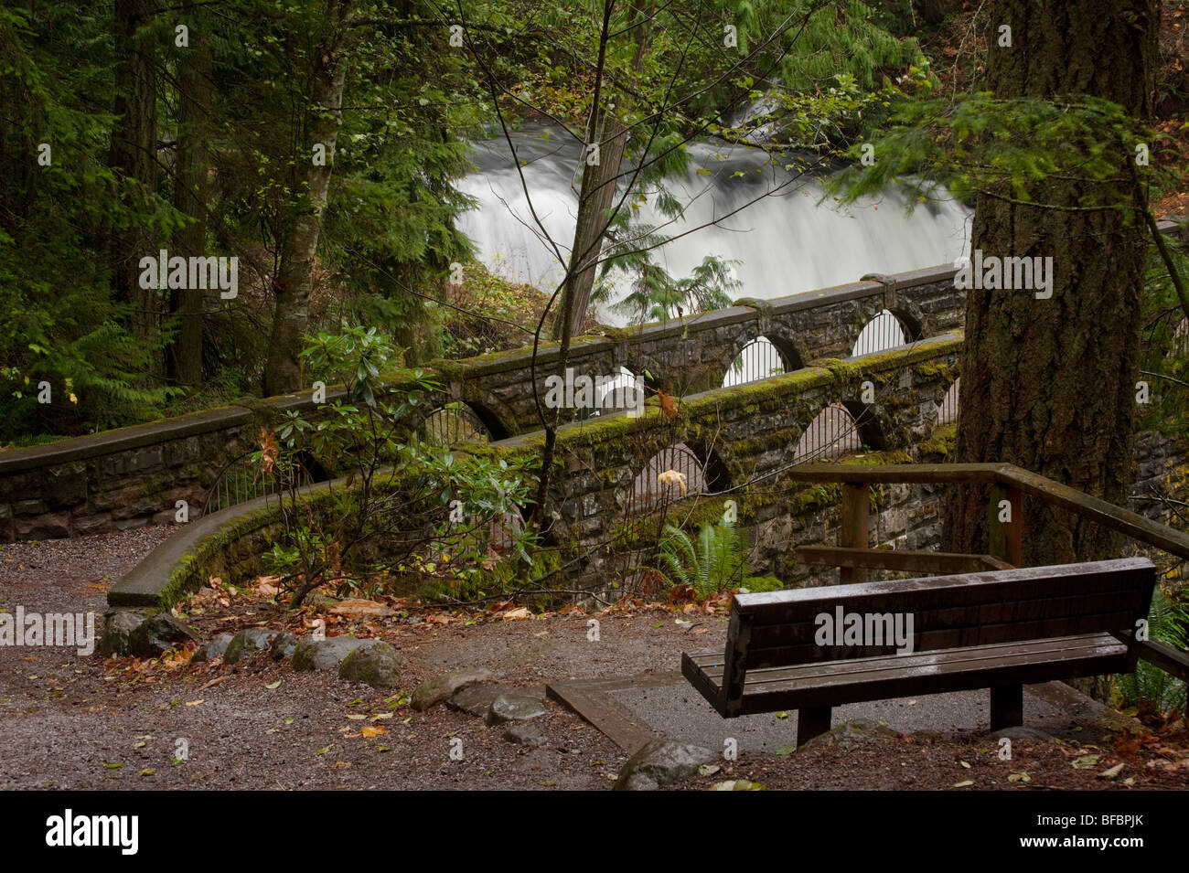 Whatcom Falls Park, Bellingham, Washington USA. Beautiful waterfalls ...