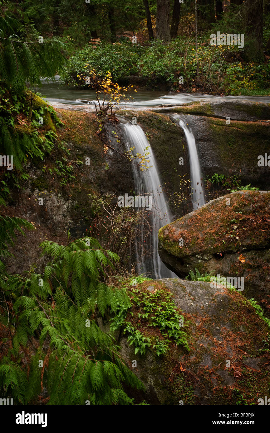 Beautiful beauty bellingham hi-res stock photography and images - Alamy