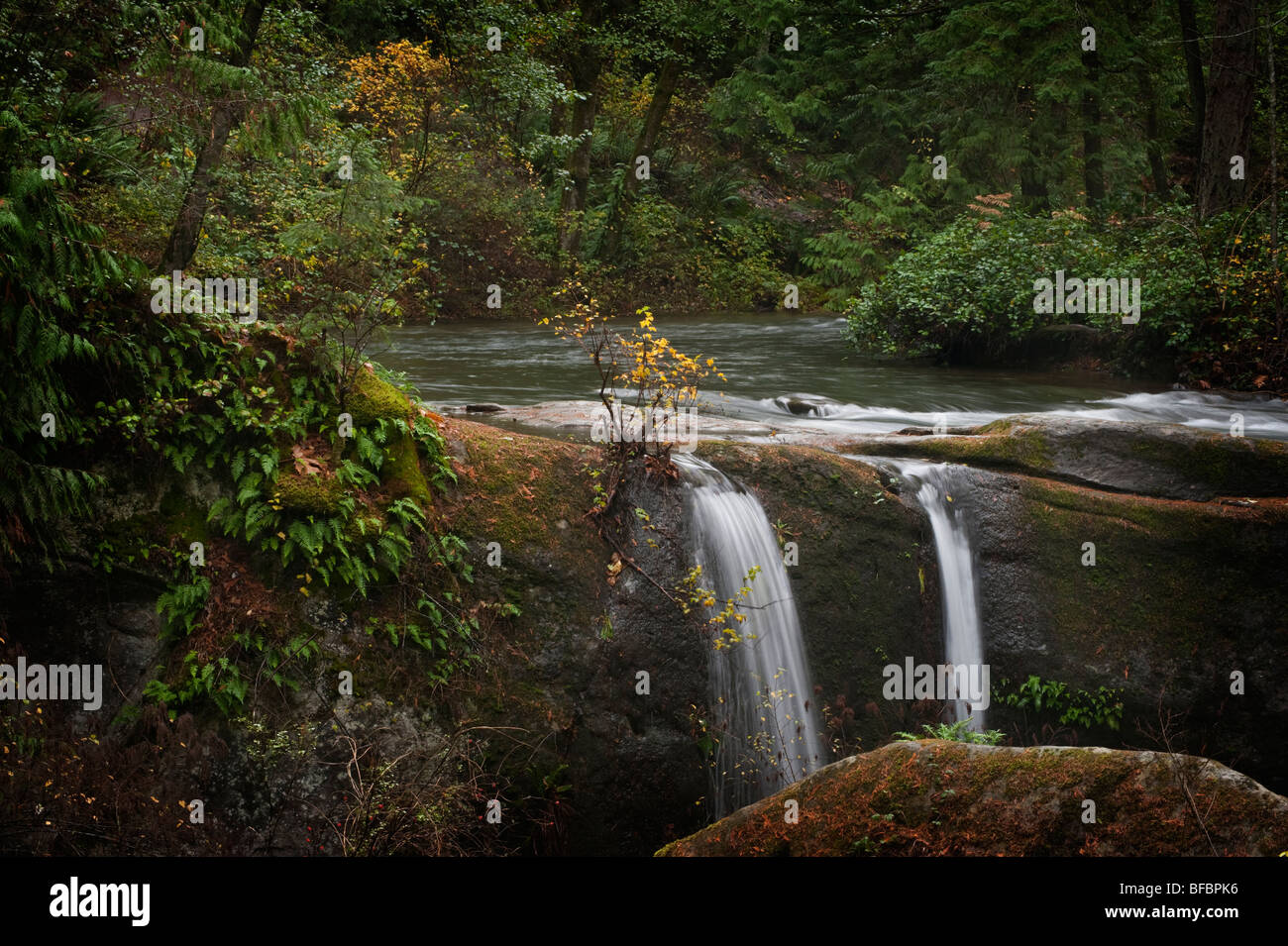 Whatcom Falls Park, Bellingham, Washington USA. Beautiful waterfalls ...
