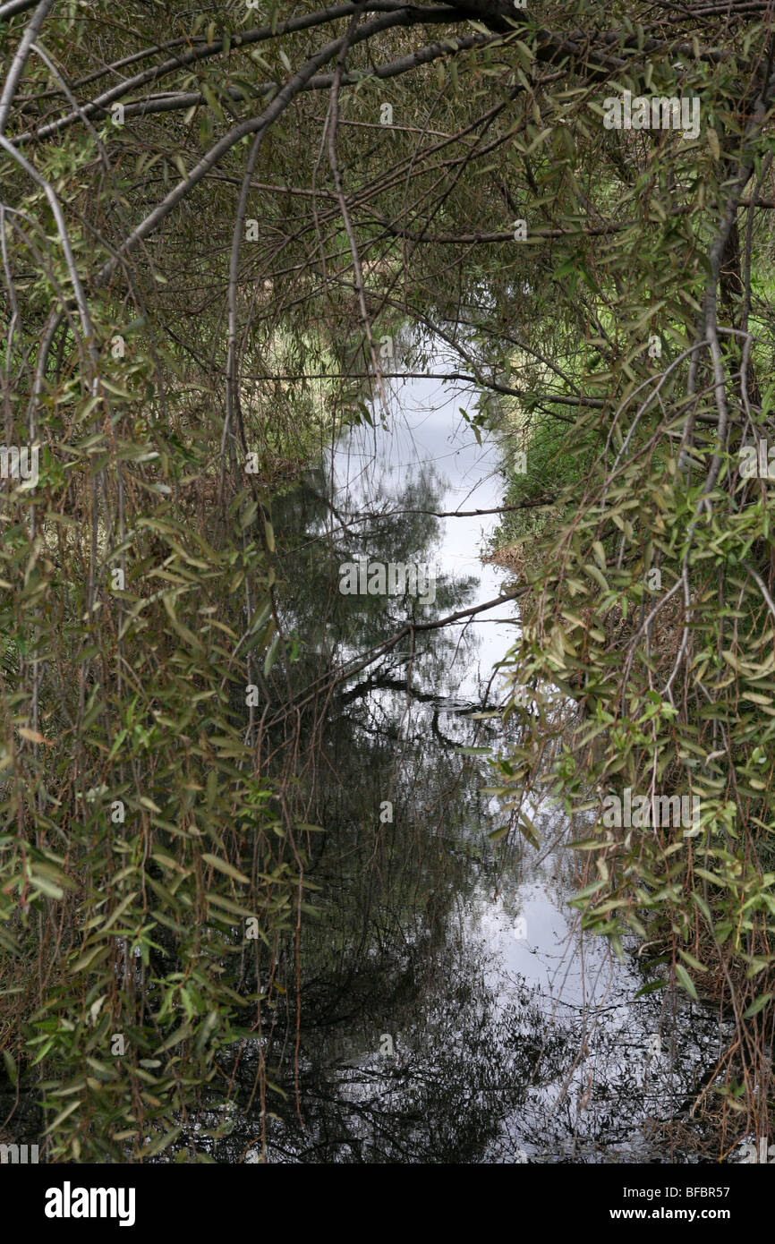 Brook little hi-res stock photography and images - Alamy