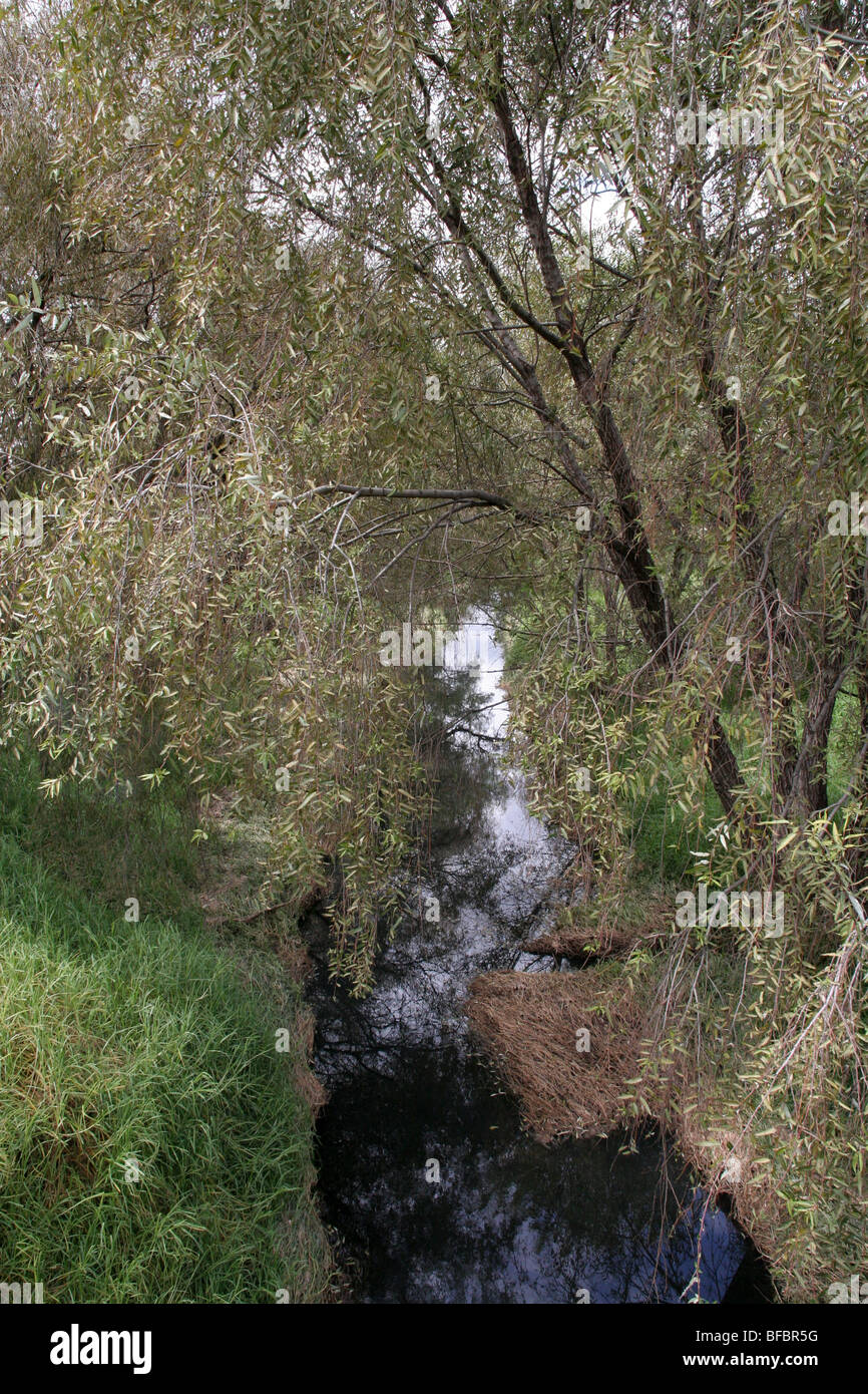 Brook little hi-res stock photography and images - Alamy