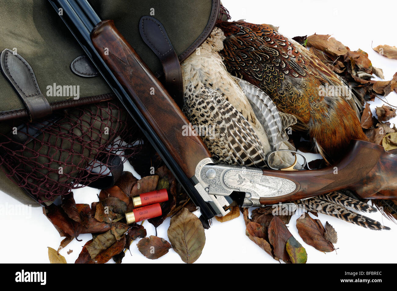 Brace of Peasants 12 bore shotgun game bag cartridges and autumn leaves ...