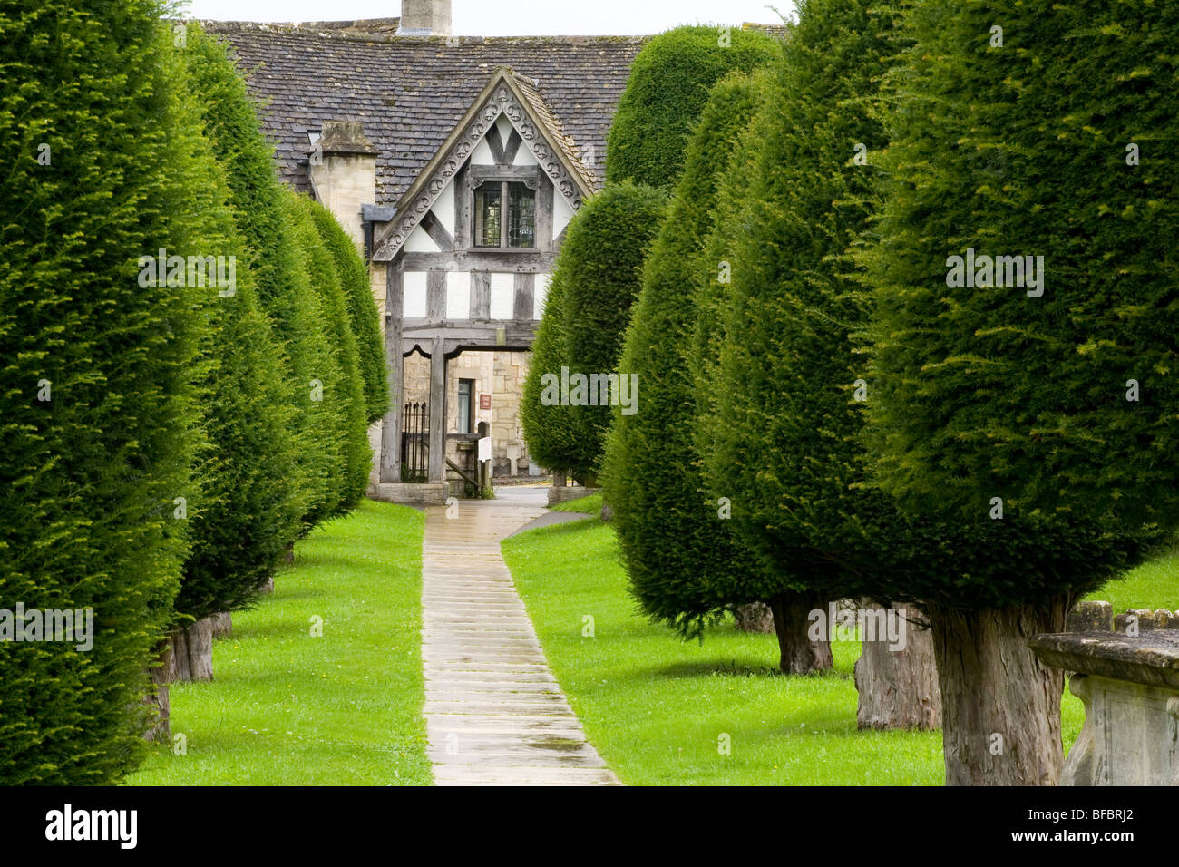 Painswick Cotswolds Churchyard Yew Tree High Resolution Stock ...