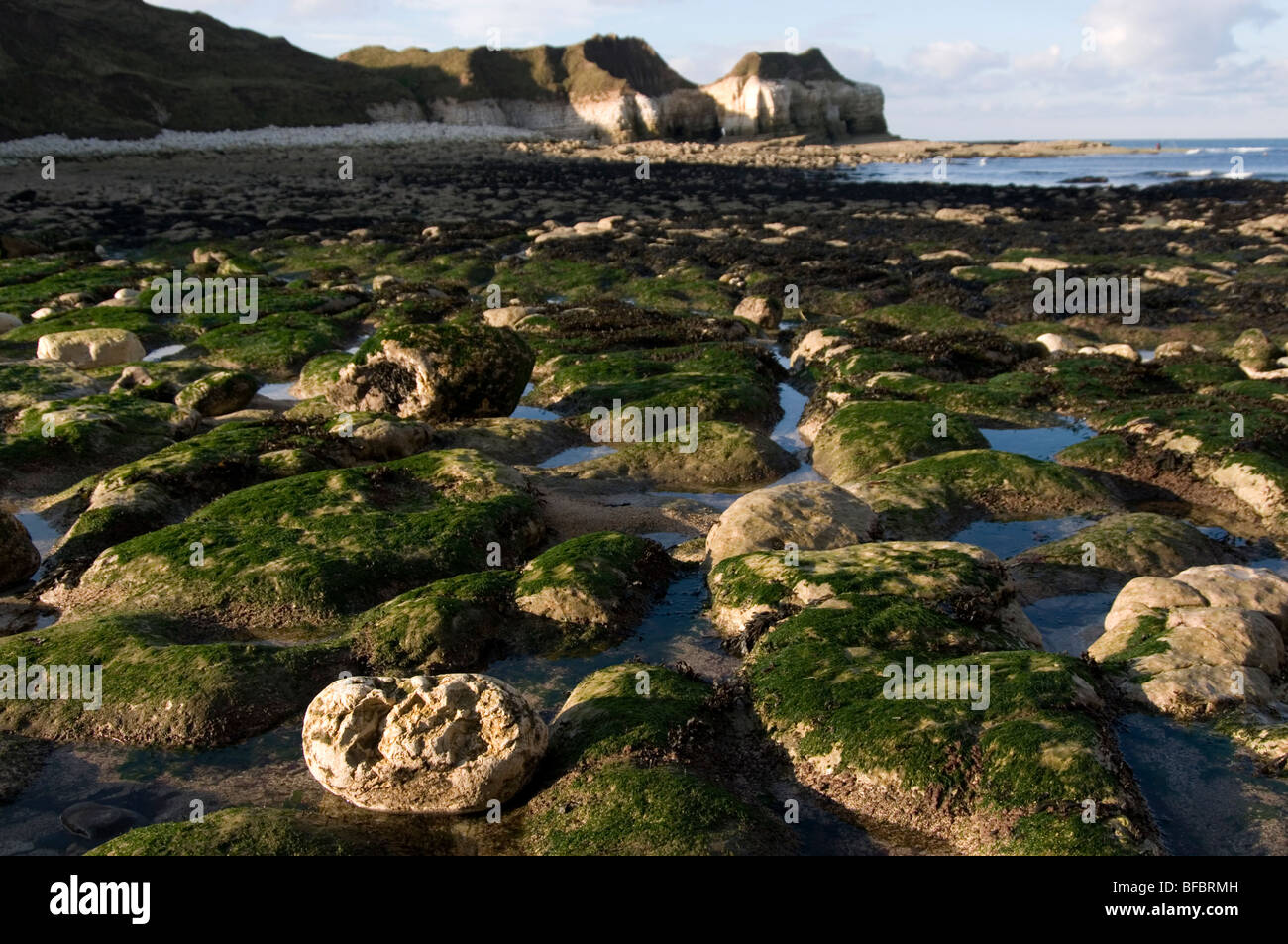 Rock pool uk hi-res stock photography and images - Alamy