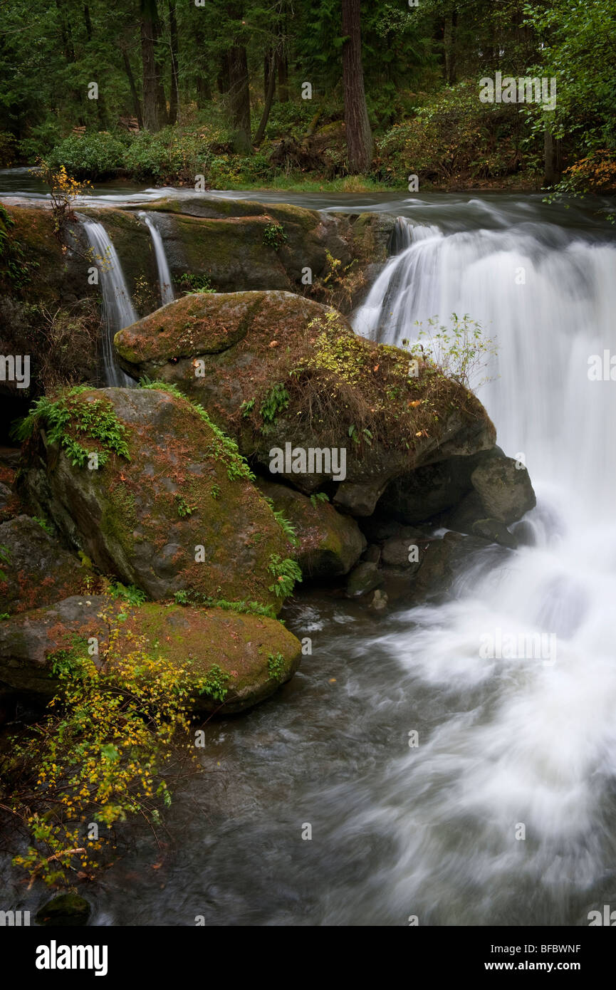 Whatcom Falls Park, Bellingham, Washington USA. Beautiful waterfalls ...
