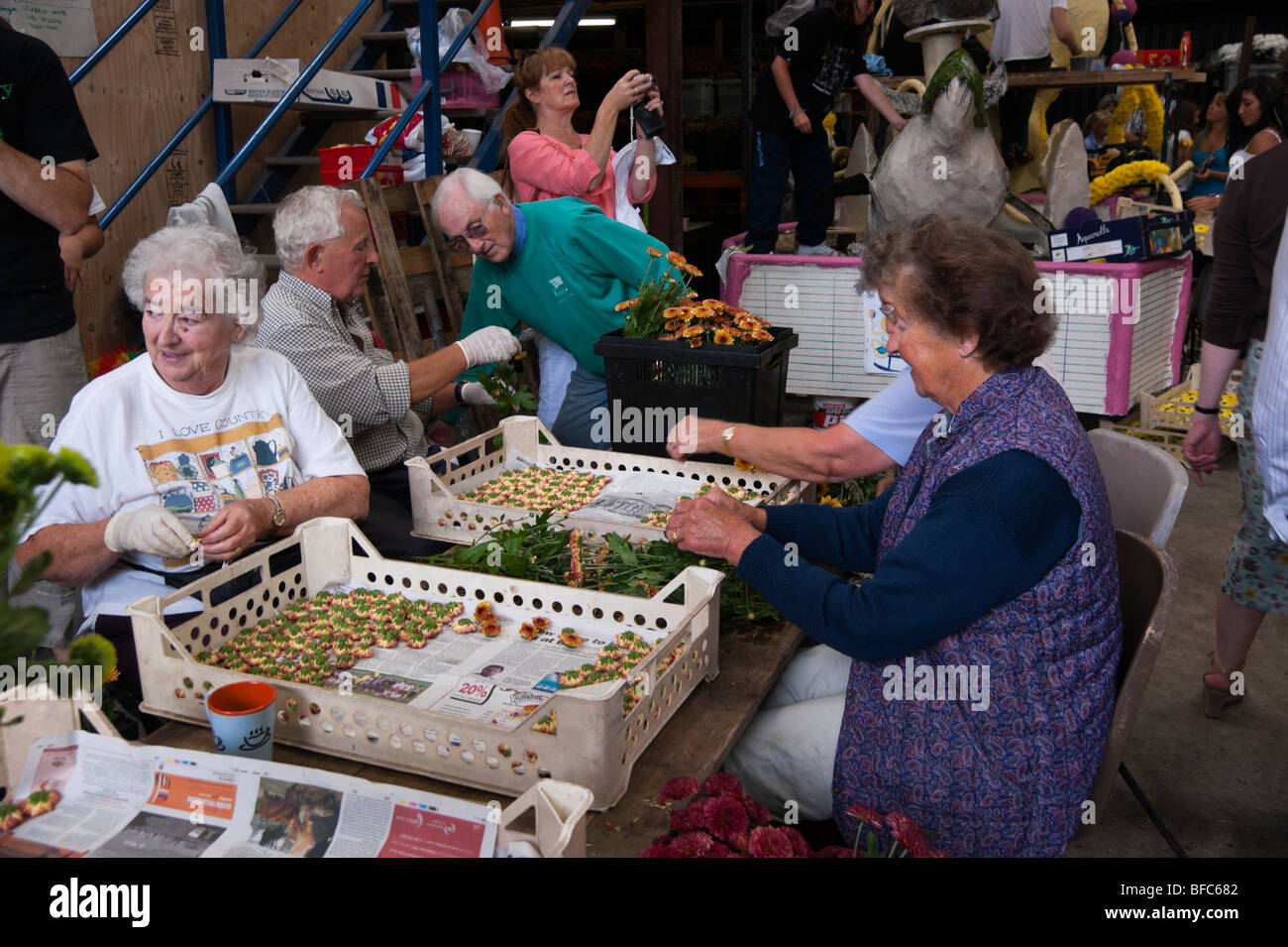 Sorting flowers hi-res stock photography and images - Alamy