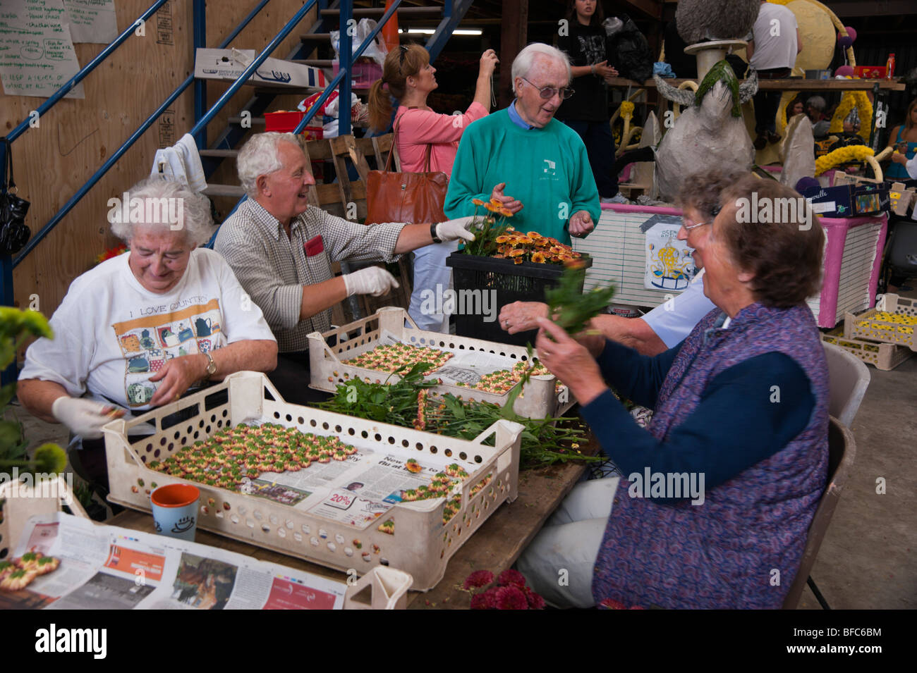 Sorting flowers hi-res stock photography and images - Alamy