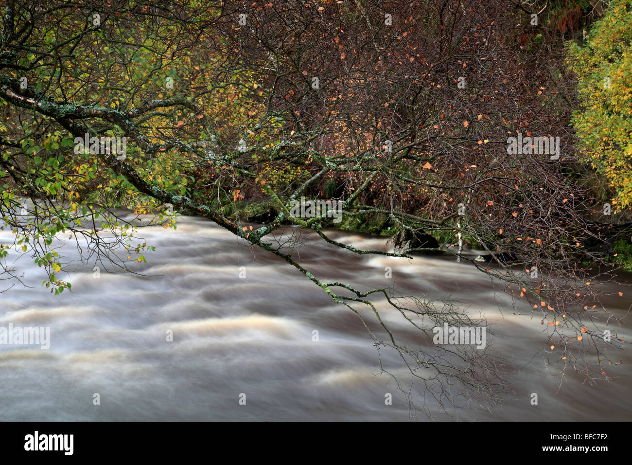 River in full spate hi-res stock photography and images - Alamy