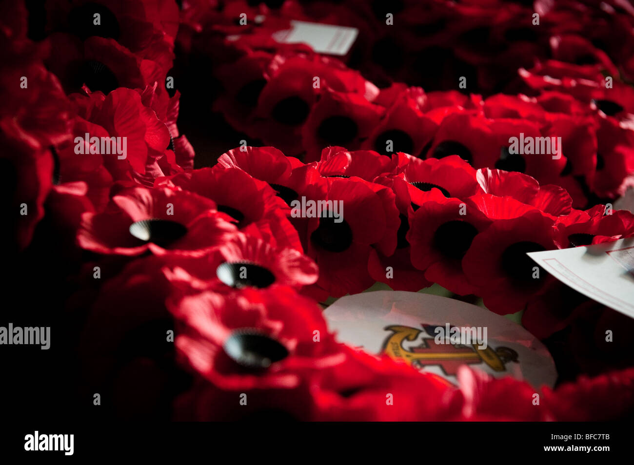 Poppy Wreaths on Remembrance Sunday Stock Photo - Alamy