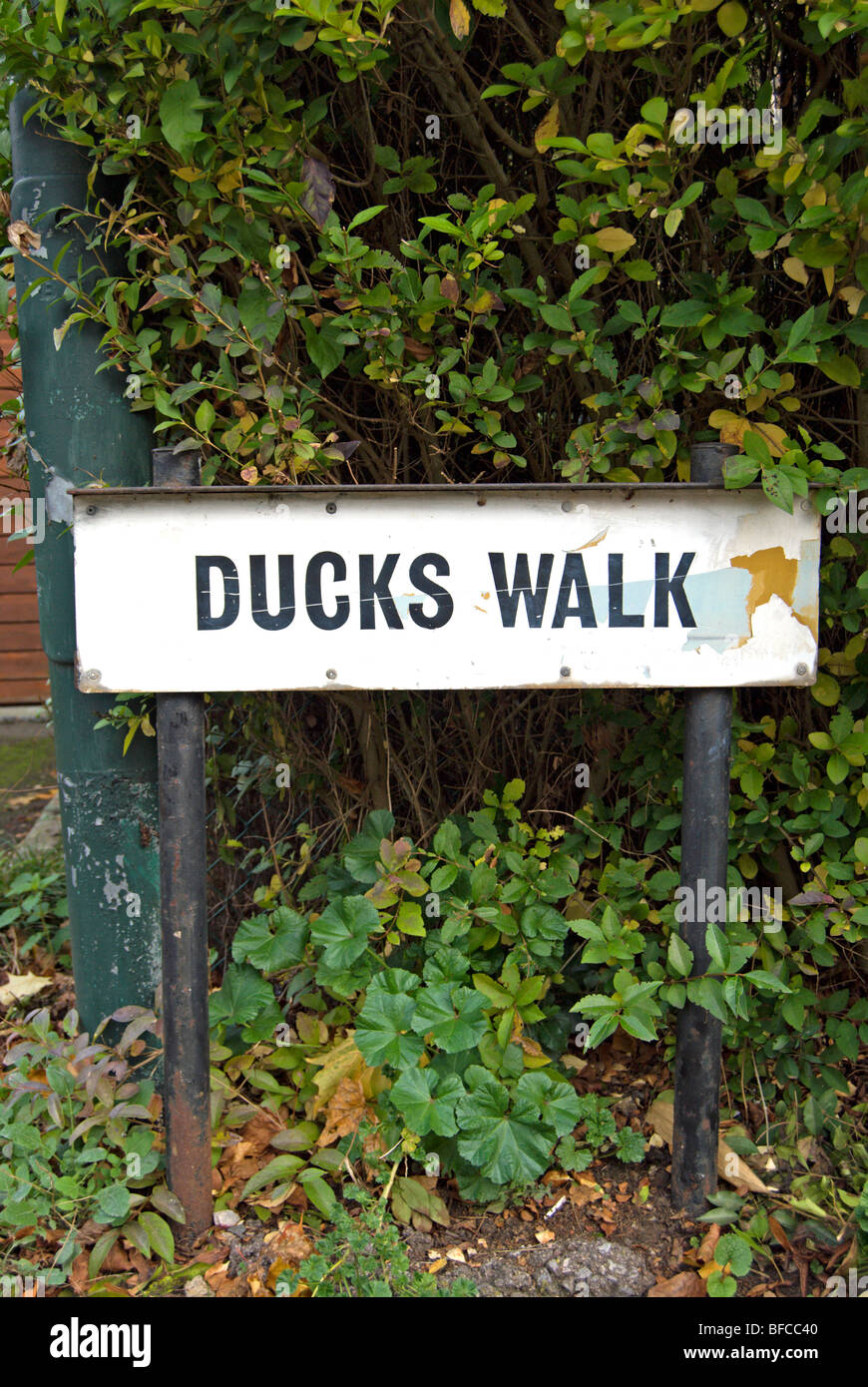 street name sign for ducks walk, east twickenham, middlesex, england ...