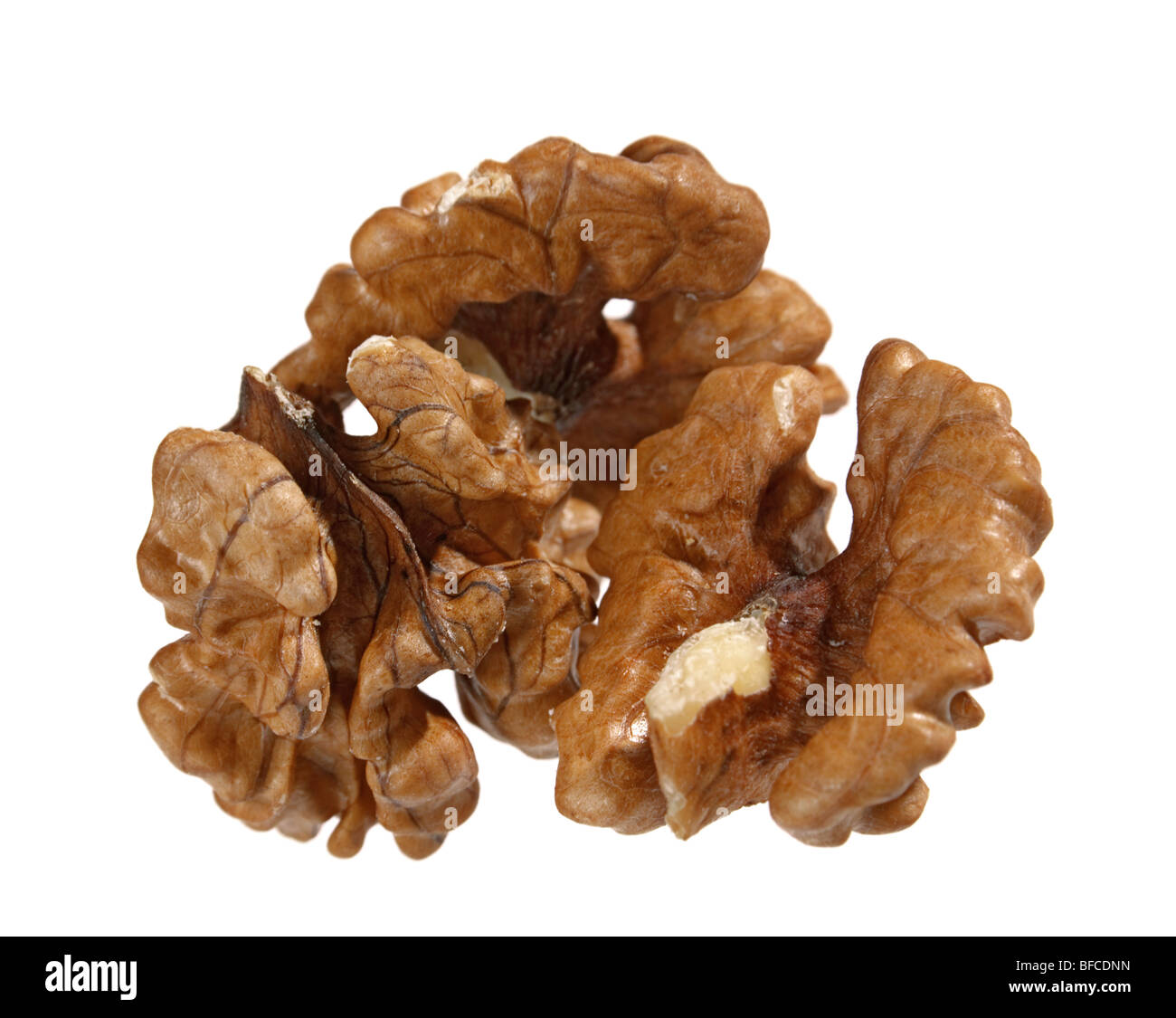 Walnut fruit hi-res stock photography and images - Alamy