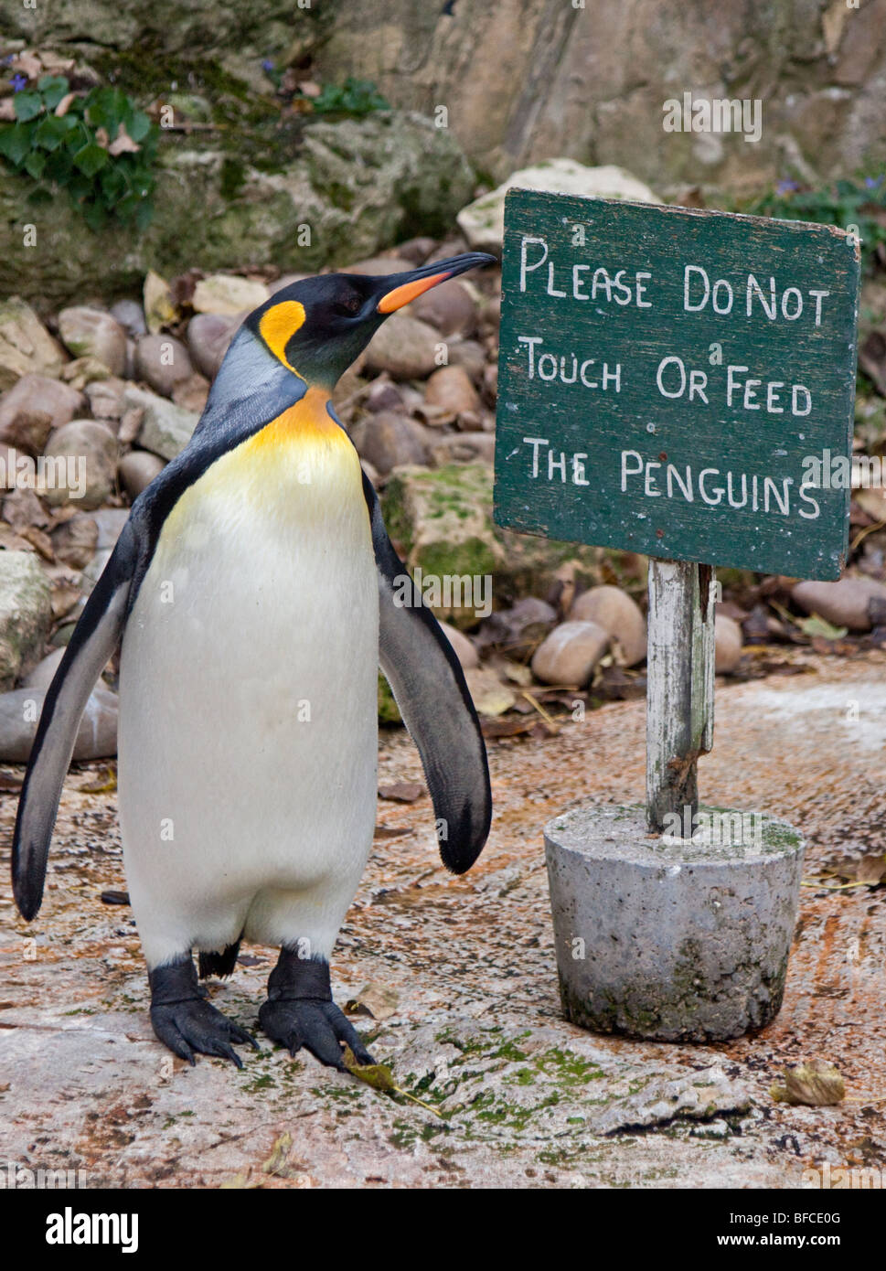 Penguin warning sign hi-res stock photography and images - Alamy