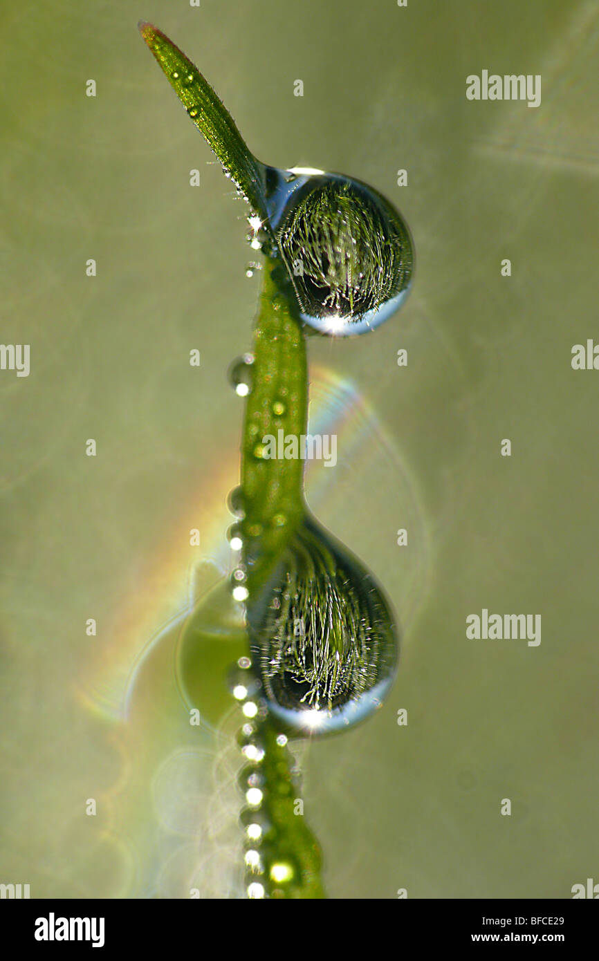 Glitter drop hi-res stock photography and images - Alamy