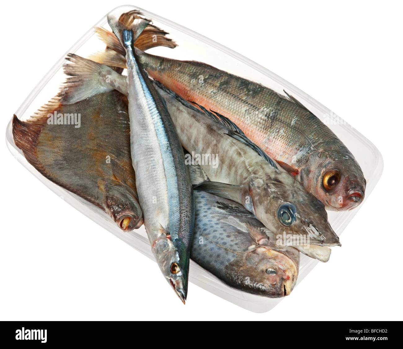 Plastic seafood Cut Out Stock Images & Pictures - Alamy