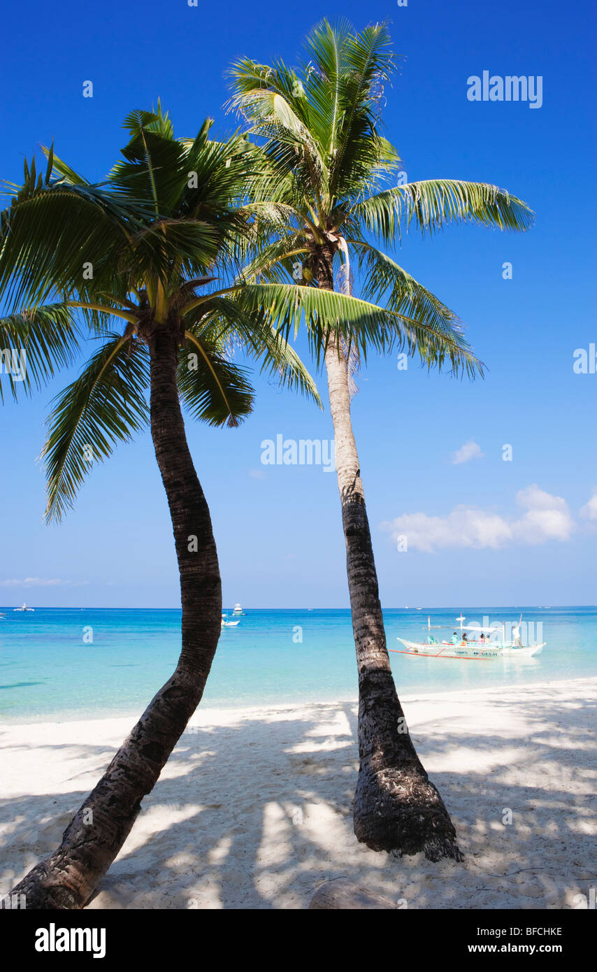 Two palm trees on beach Boracay; The Visayas; Philippines Stock Photo ...