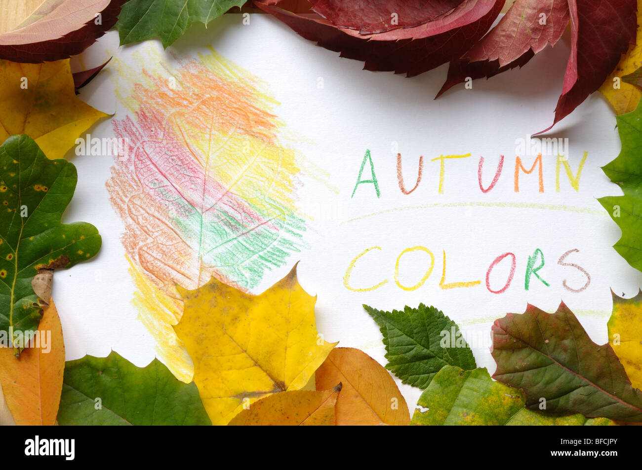 Drawing of a colorful leaf and a sign "Autumn Colors" with crayons ...