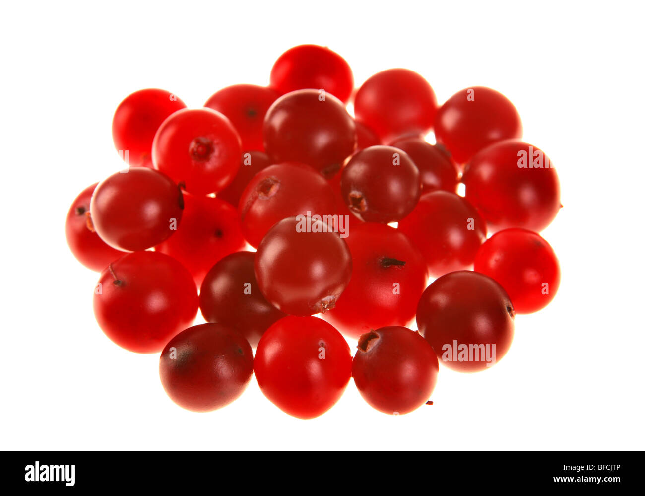 Red rowanberry fruit group on white background Stock Photo - Alamy