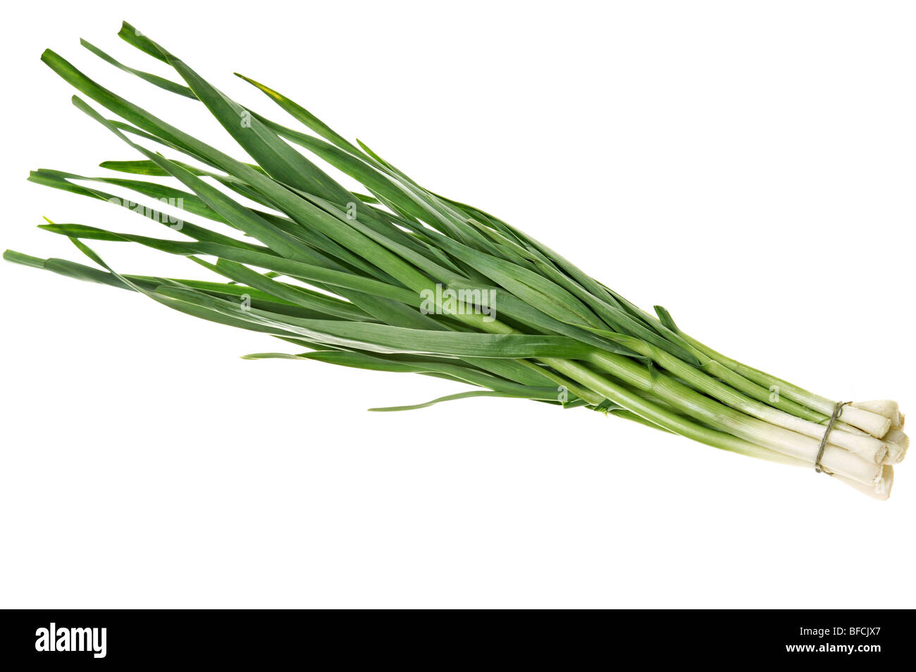 Fresh green onion bunch on white background Stock Photo - Alamy