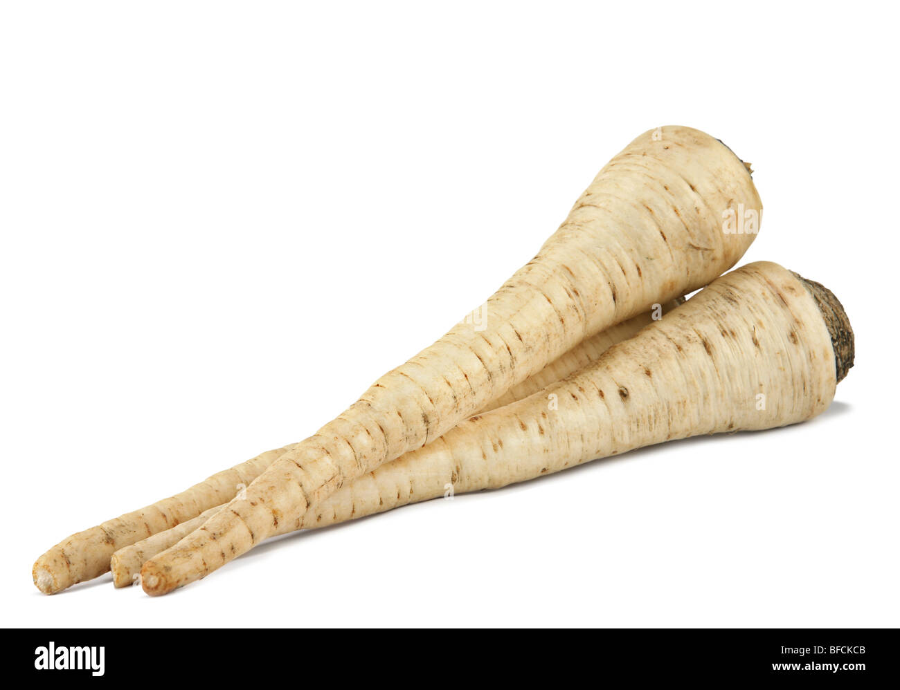 Parsley vegetable root closeup on white background Stock Photo - Alamy