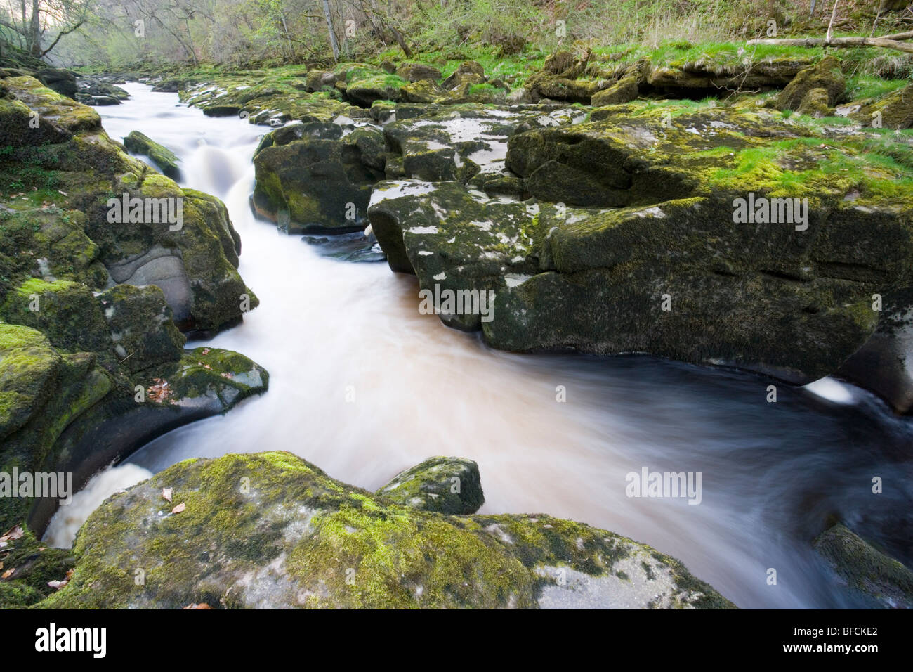 The Strid a narrow channel on the River Wharfe at Bolton Abbey in ...