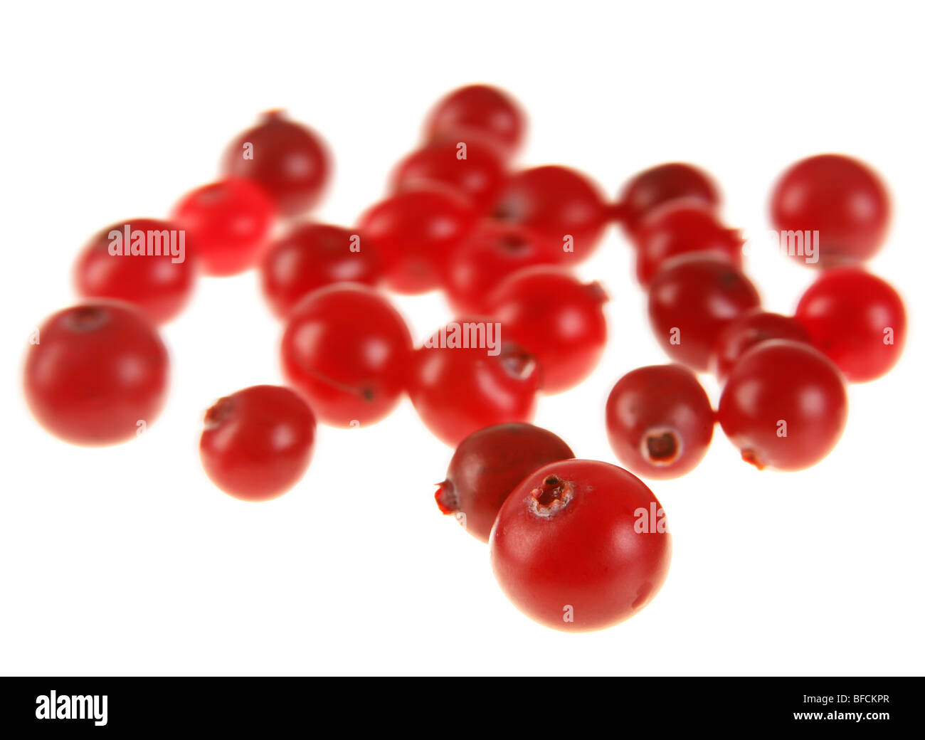 Red rowanberry fruit group on white background Stock Photo - Alamy