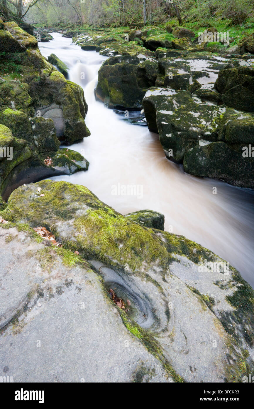 The Strid a narrow channel on the River Wharfe at Bolton Abbey in ...