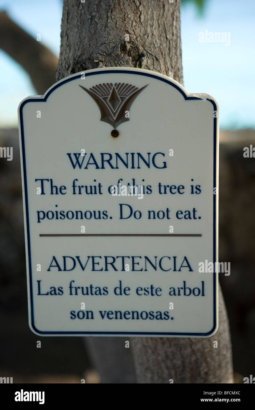 Warning sign on poisonous tree, Curacao Stock Photo - Alamy