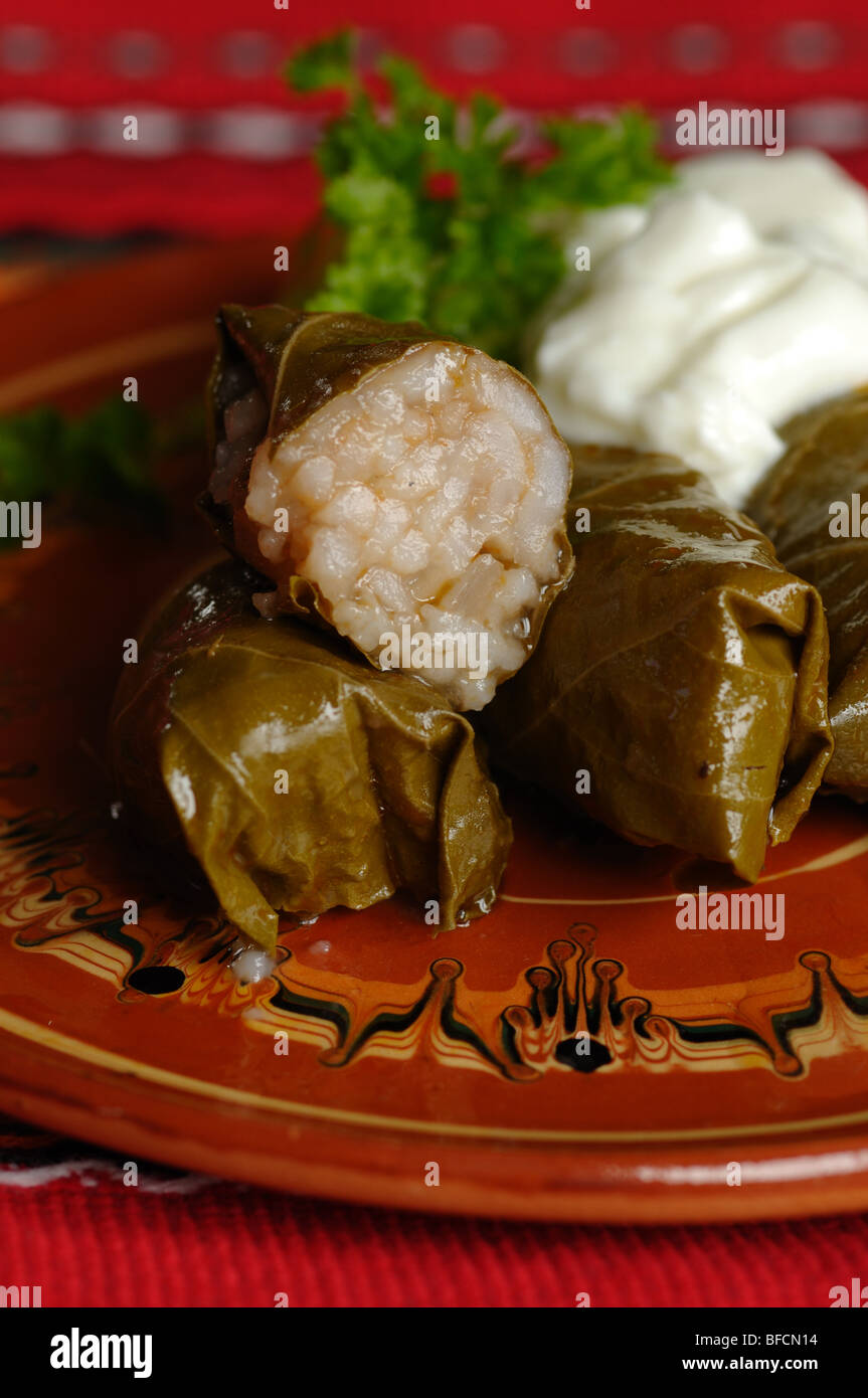 Fresh sarma made of rice and vine leaves Stock Photo - Alamy