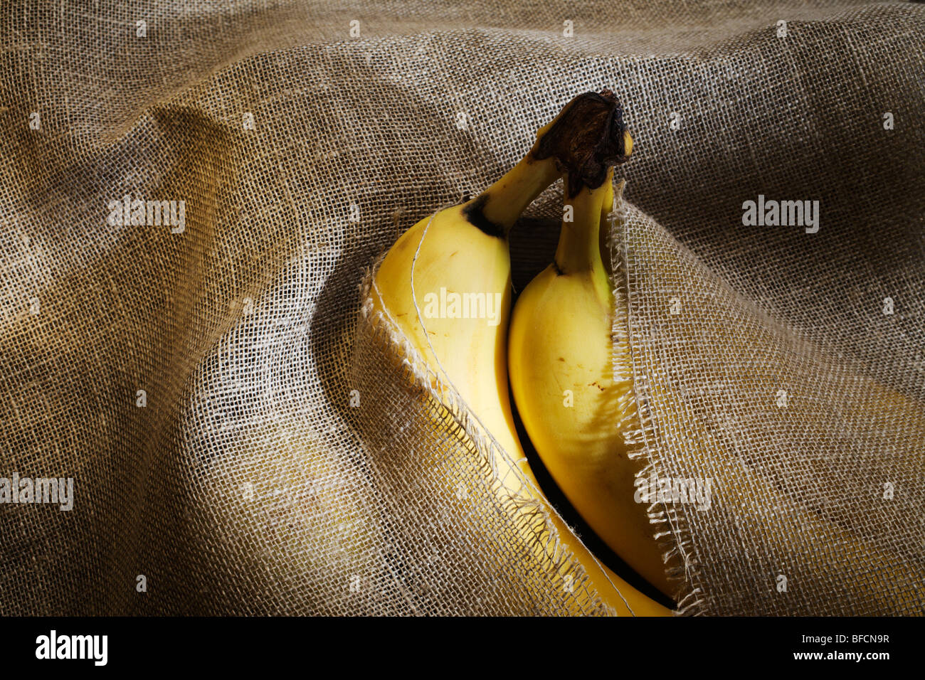 Torn sack hi-res stock photography and images - Alamy