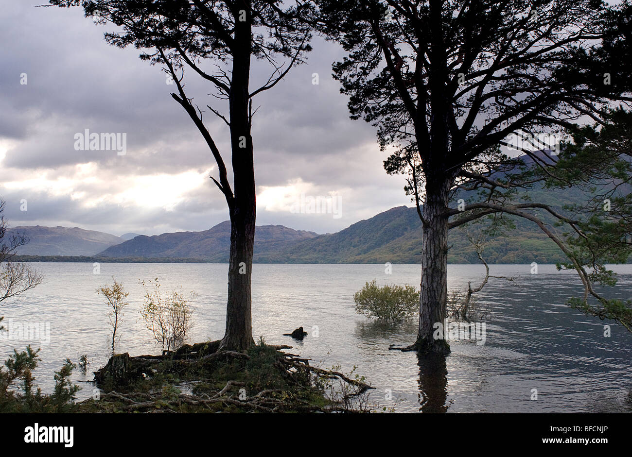 Lough Leane - John Gollop Stock Photo - Alamy