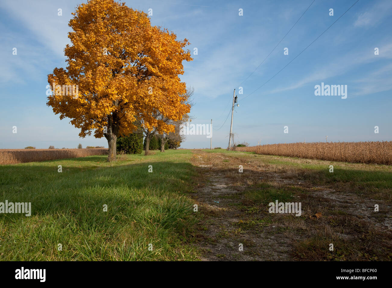 Disused road in rural Iowa on a crisp Fall morning Stock Photo - Alamy