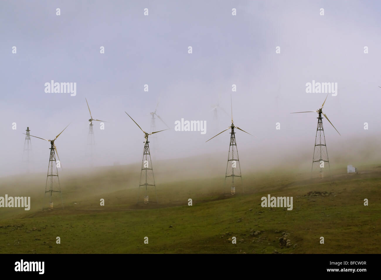 Wind turbines with green grass and fog Stock Photo - Alamy