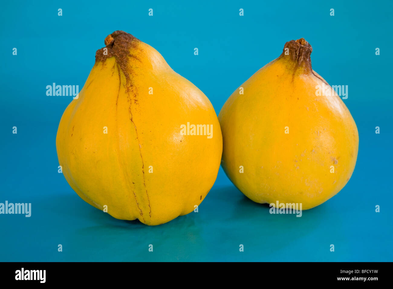 Grown quince hi-res stock photography and images - Alamy