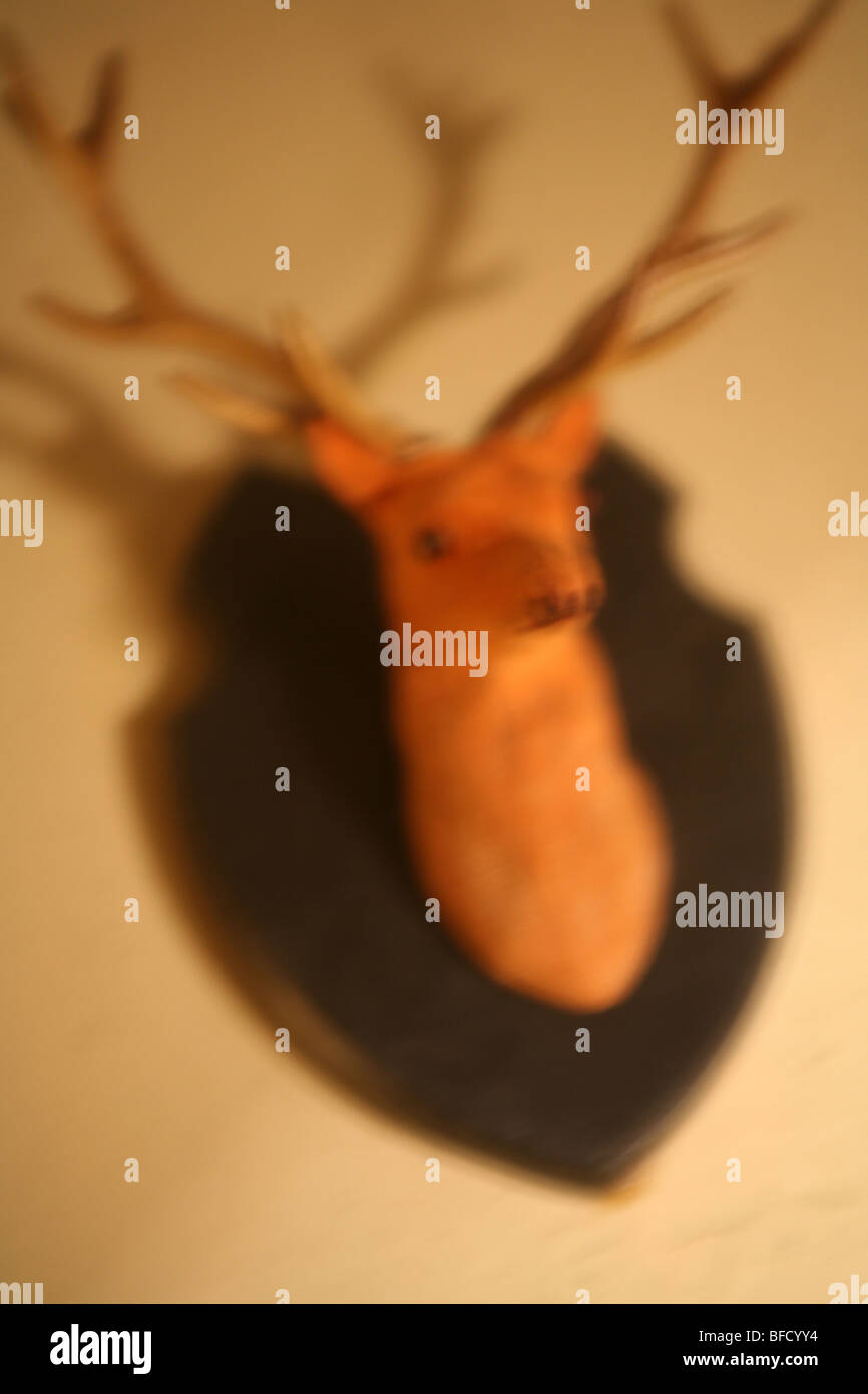 a deer head mounted on a wall, hunter's trophy Stock Photo - Alamy