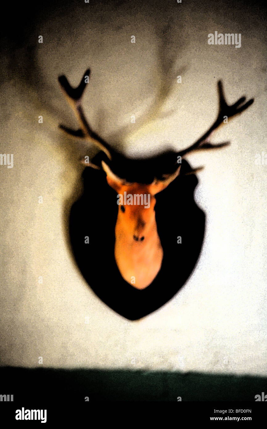 Head hunters trophy hi-res stock photography and images - Alamy