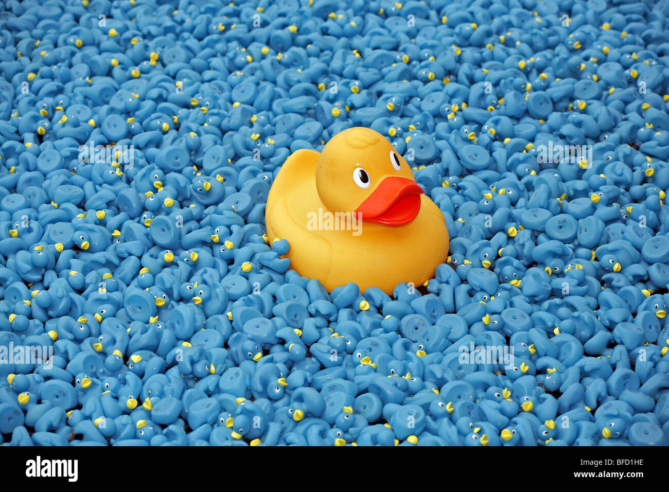 Plastic ducks hi-res stock photography and images - Alamy