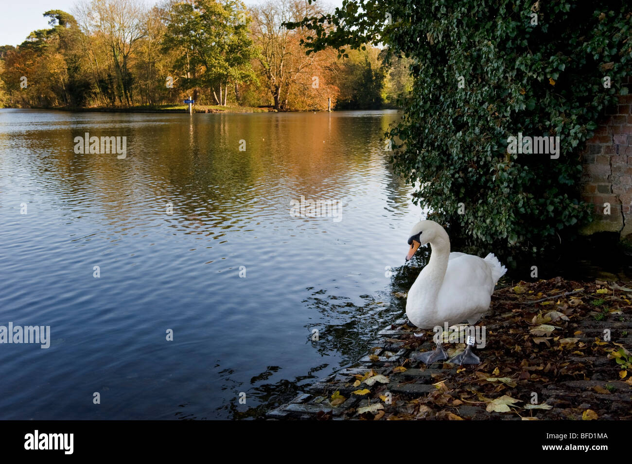 The thames at cookham hi-res stock photography and images - Alamy