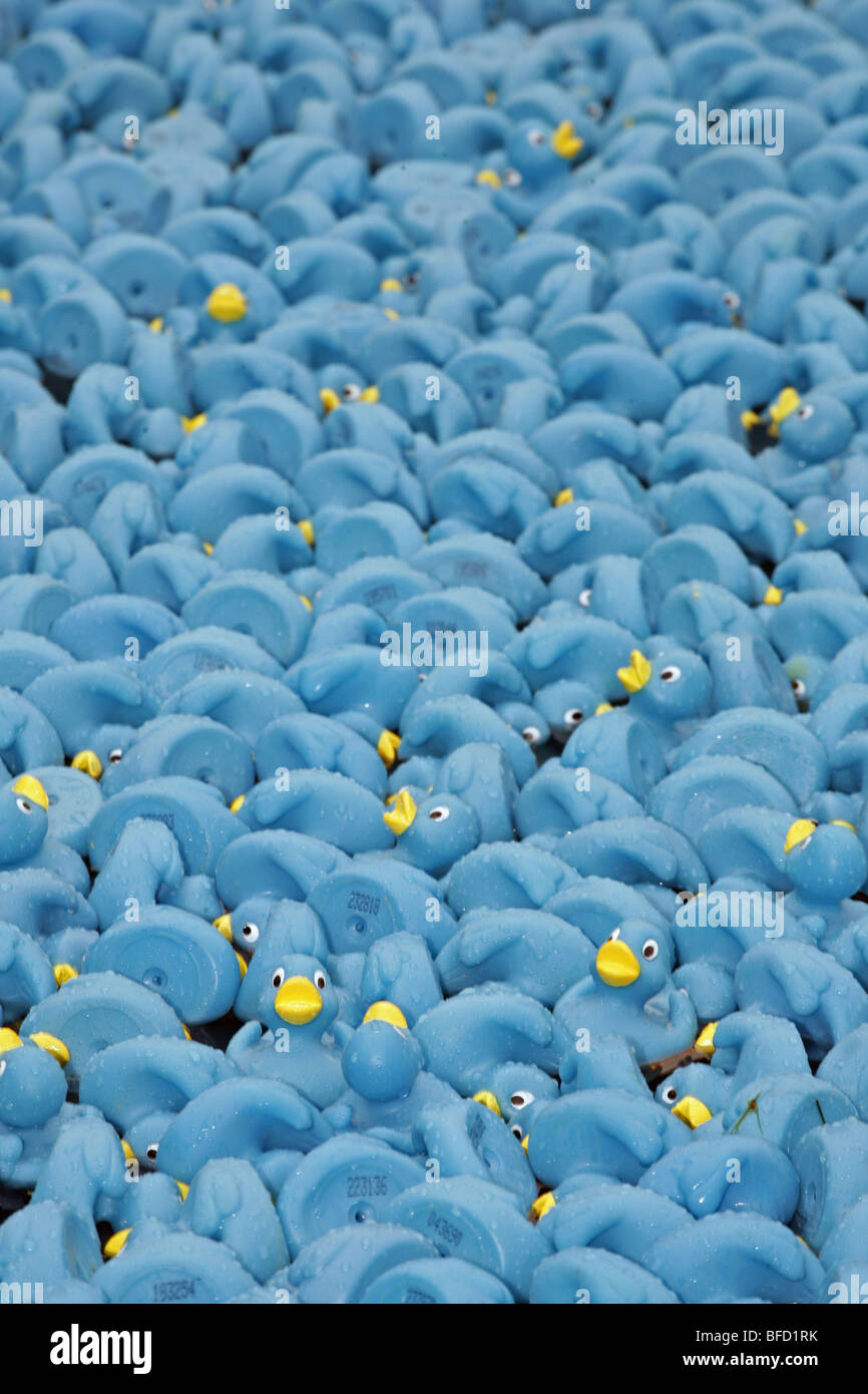 Plastic ducks hi-res stock photography and images - Alamy