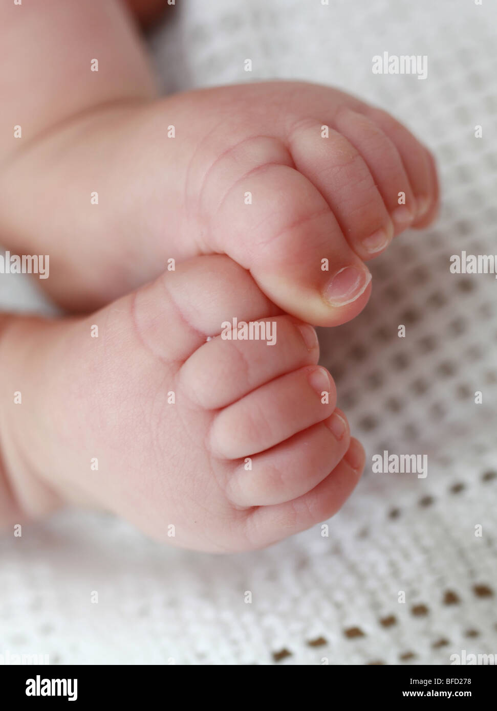 Close up of baby's foot Stock Photo - Alamy