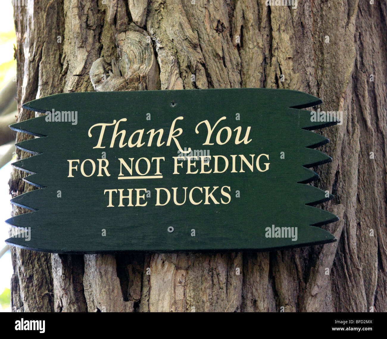 Please do not feed the ducks sign hi-res stock photography and images ...