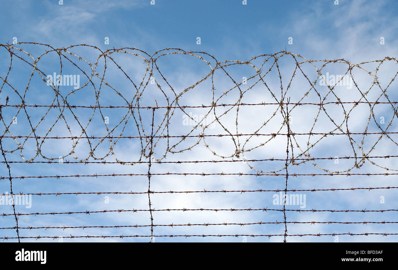 Prison wire or jail wire hi-res stock photography and images - Alamy