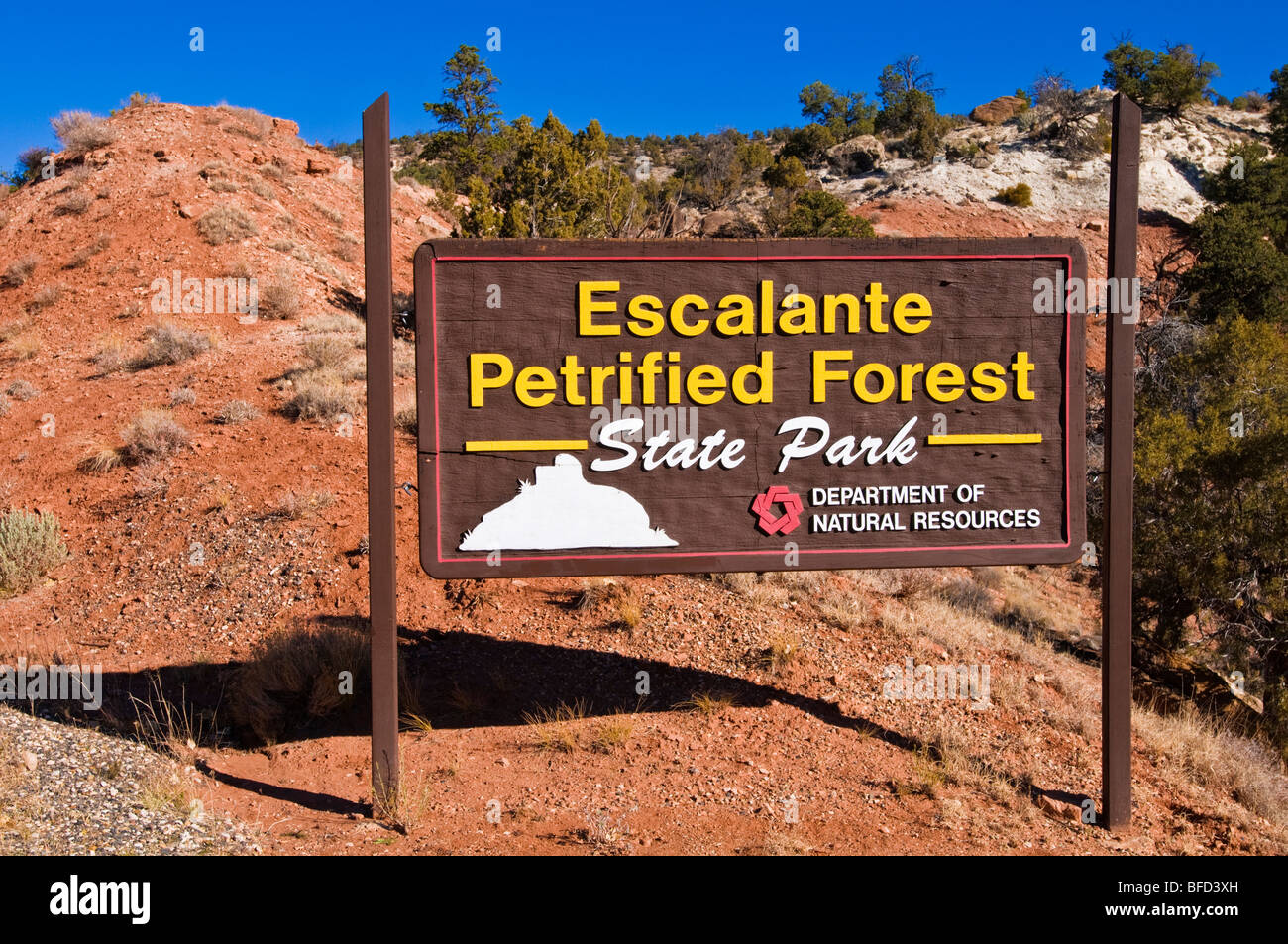 Escalante Petrified Forest State Park