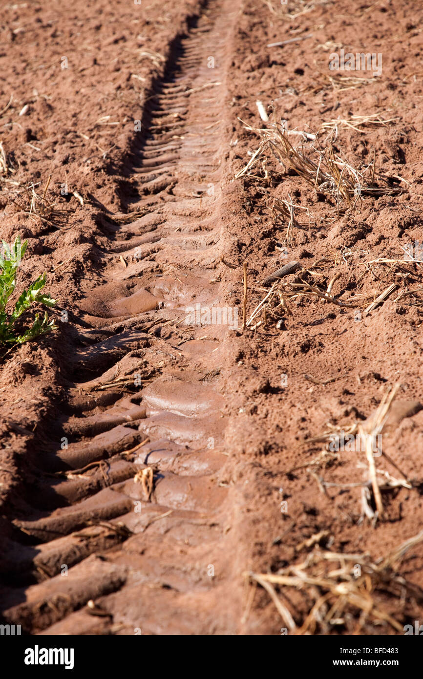 Soil tractor tread hi-res stock photography and images - Alamy