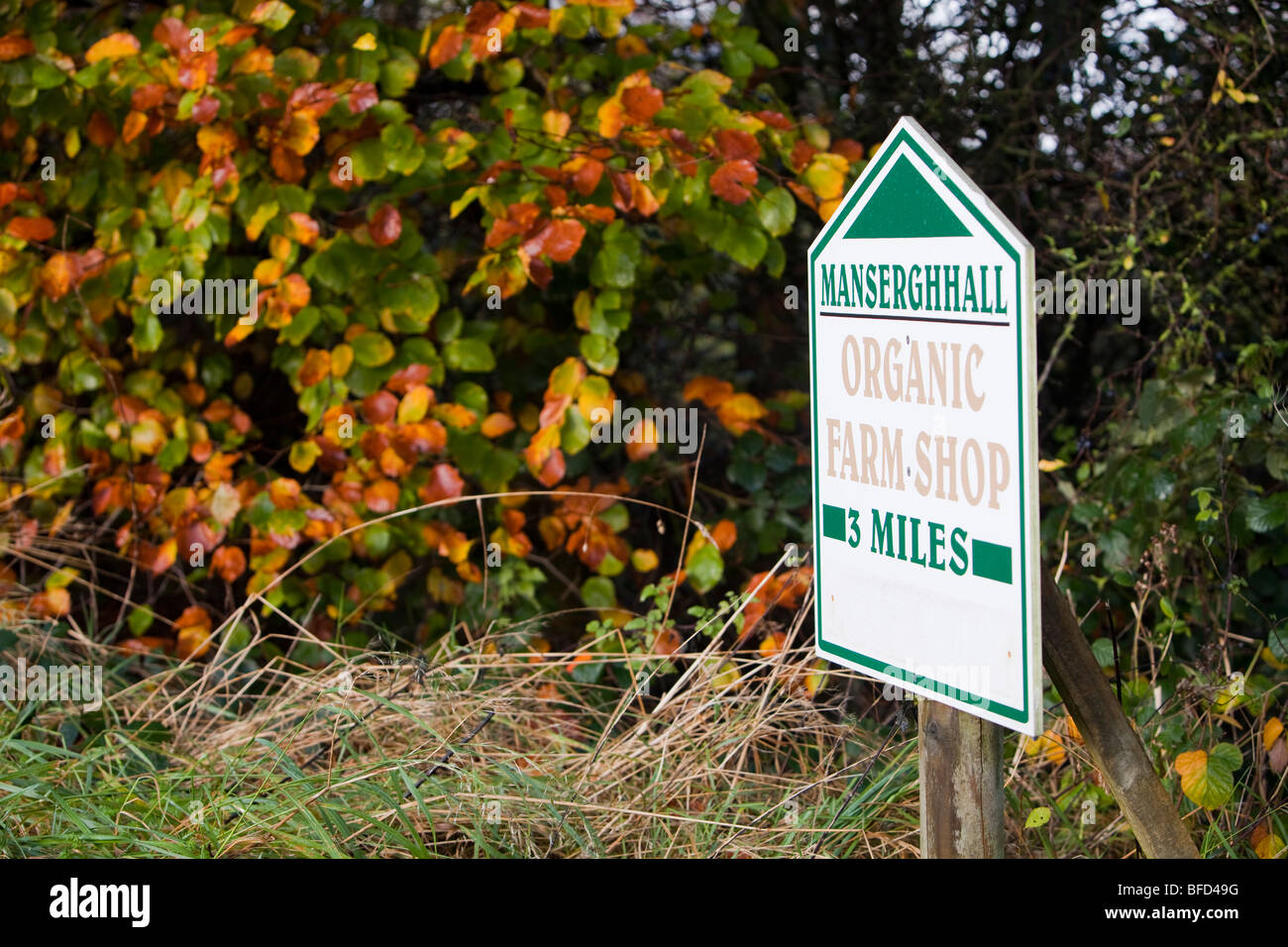 An advert for an organic farm shop near Kirkby Lonsdale in Cumbria, UK ...