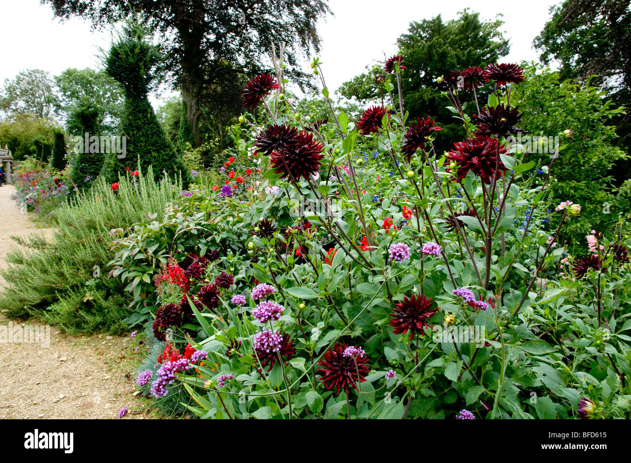 Dahlia border at Hanham Court Gardens, Cotswolds, England, UK Stock ...