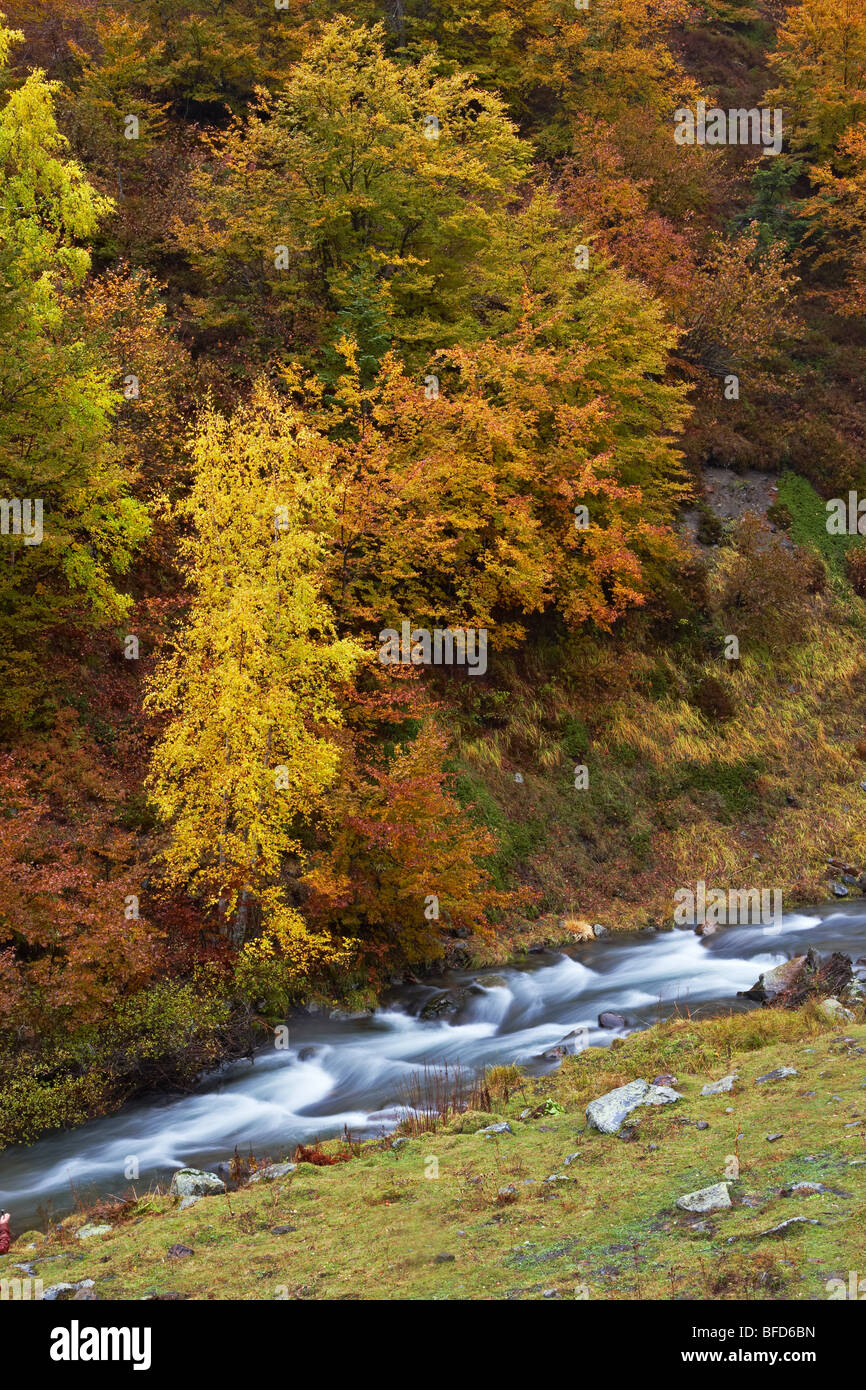 Autumn brook with mini waterfalls flowing in the national park Stock ...