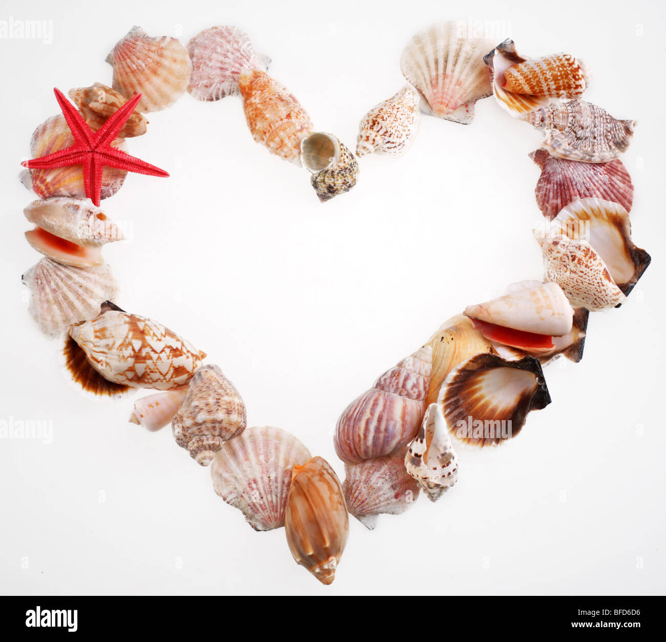 Shells in a shape of valentine's heart on a white Stock Photo - Alamy