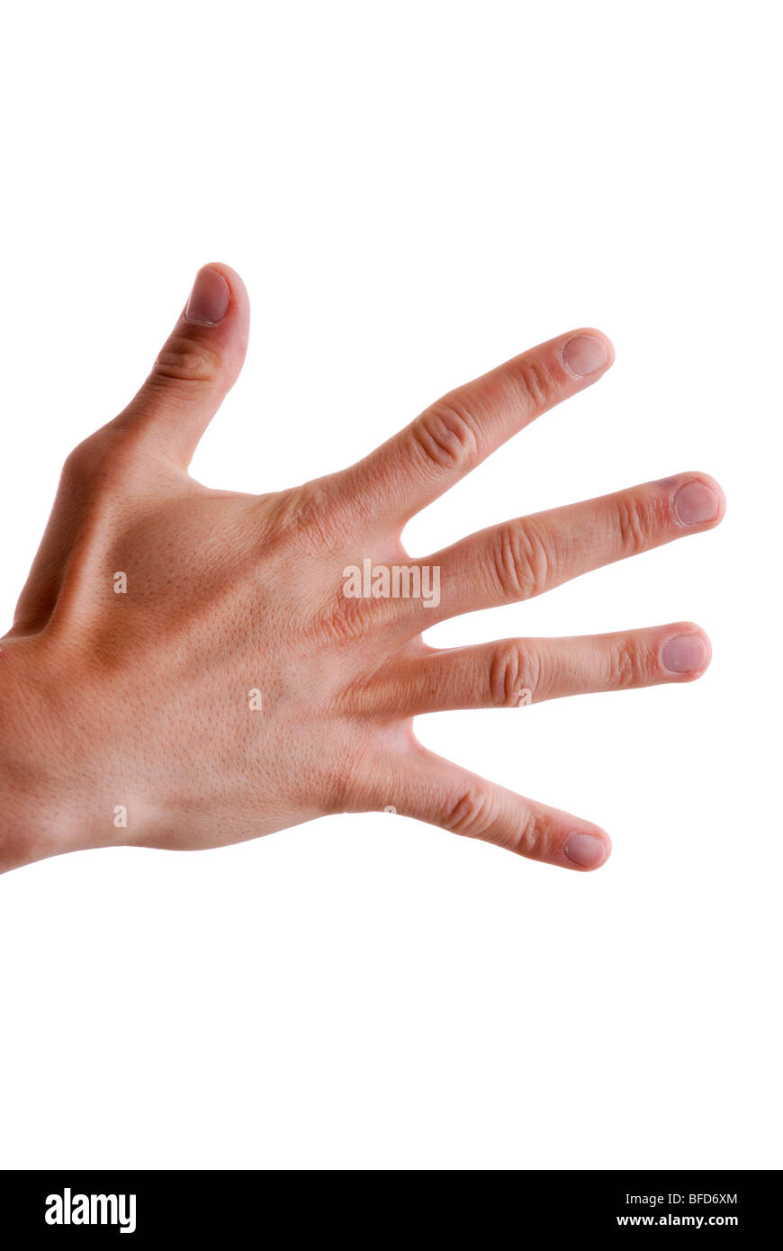 5 fingers five fingers hi-res stock photography and images - Alamy